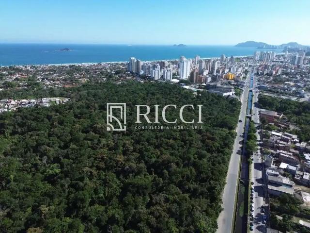 Terreno / Lote para Venda em Guarujá/SP Jardim Virgínia