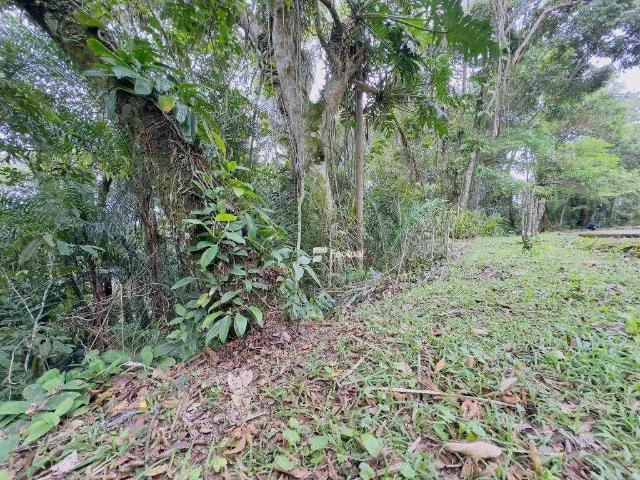 Terreno / Lote para Venda em Guarujá/SP Morro Sorocotuba