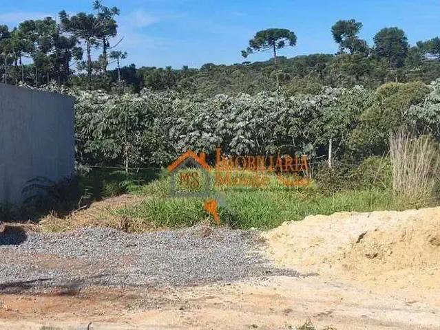 Terreno / Lote para Venda em Guarulhos/SP Vila Carmela III