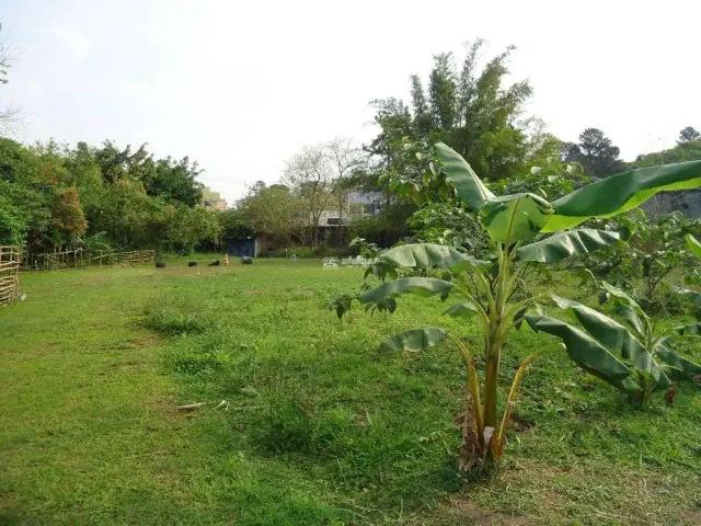 Terreno / Lote para Venda em Guarulhos/SP Vila Rio de Janeiro