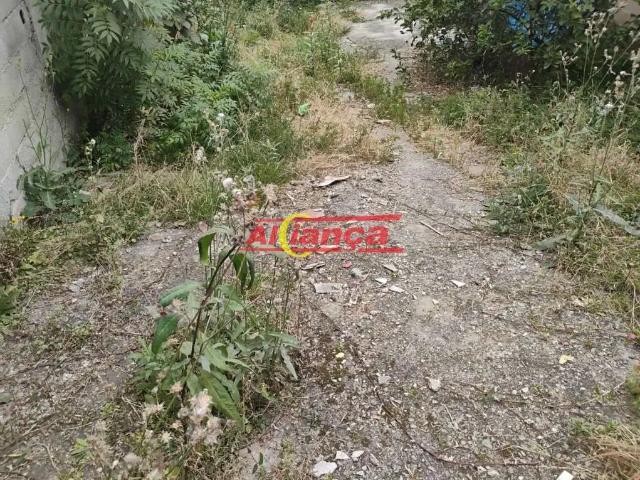 Terreno / Lote para Venda em Guarulhos/SP Vila São João Batista