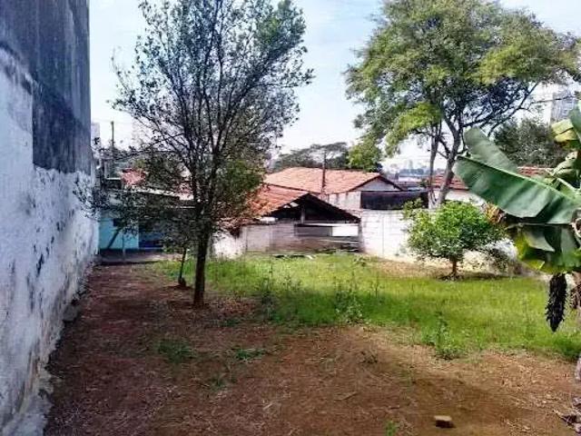 Terreno / Lote para Venda em Guarulhos/SP Centro