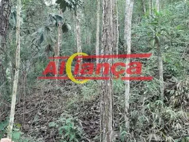 Terreno / Lote para Venda em Guarulhos/SP Chácaras de Recreio Oasis