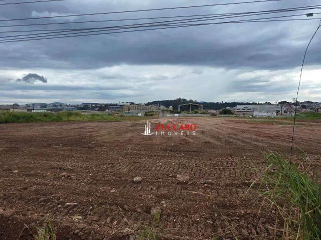 Terreno / Lote para Venda em Guarulhos/SP Cidade Aracilia