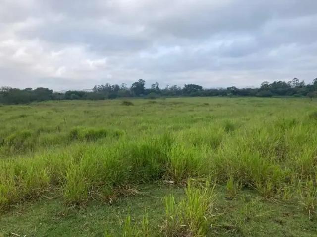 Terreno / Lote para Venda em Guarulhos/SP Cidade Tupinambá