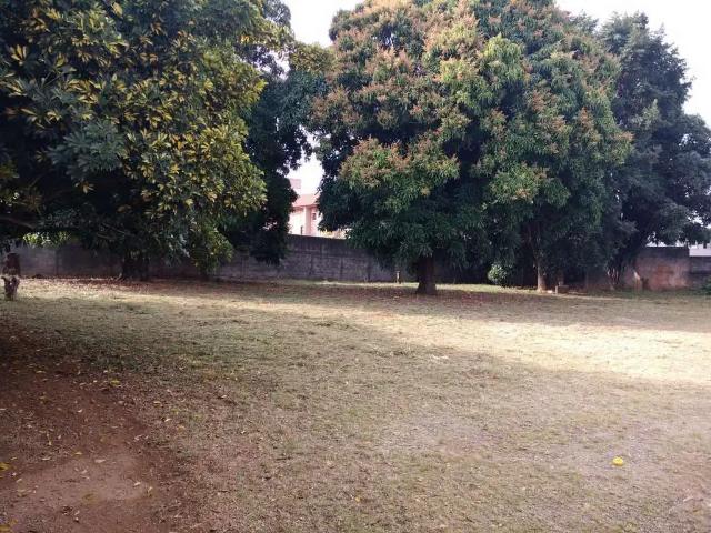 Terreno / Lote para Venda em Guarulhos/SP Jardim Cocaia