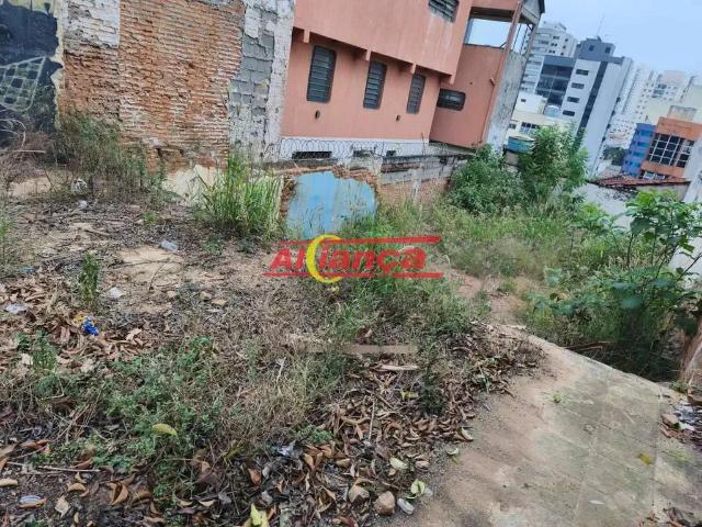 Terreno / Lote para Venda em Guarulhos/SP Jardim Guarulhos