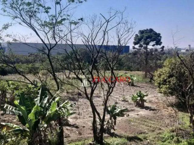 Terreno / Lote para Venda em Guarulhos/SP Jardim do Triunfo