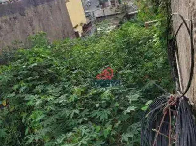 Terreno / Lote para Venda em Guarulhos/SP Jardim Lenize