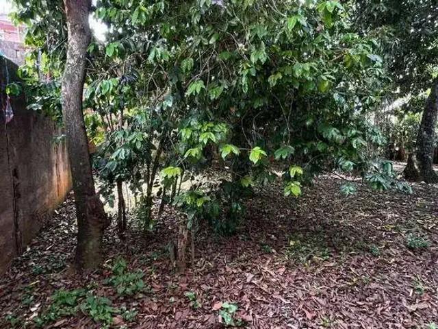 Terreno / Lote para Venda em Guarulhos/SP Jardim Rosa de Franca
