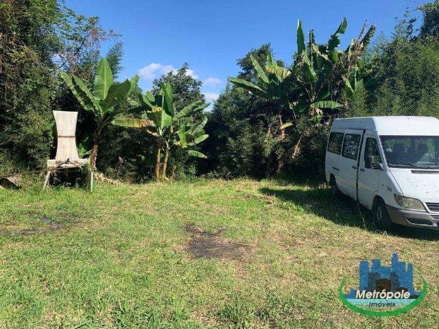 Terreno / Lote para Venda em Guarulhos/SP Mikail II