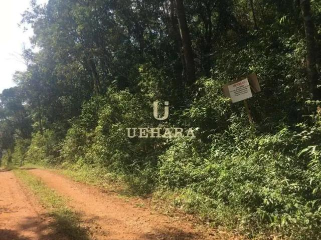 Terreno / Lote para Venda em Guarulhos/SP Morro Grande