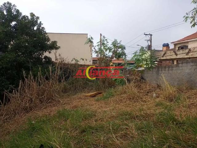 Terreno / Lote para Venda em Guarulhos/SP Parque Continental II