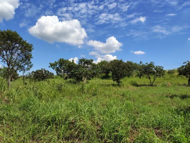 Terreno / Lote para Venda em Hidrolândia/GO Jardim Garavelo Sul