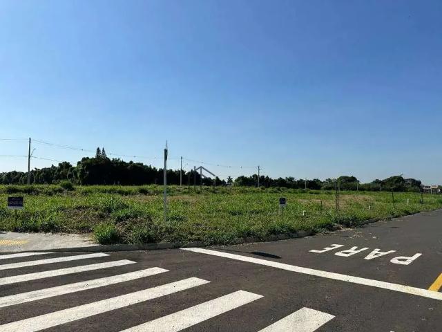 Terreno / Lote para Venda em Holambra/SP Residencial Jardim Europa