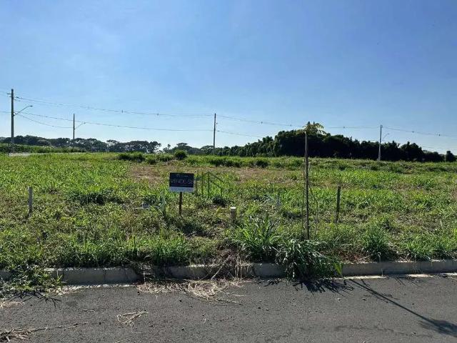 Terreno / Lote para Venda em Holambra/SP Residencial Jardim Europa