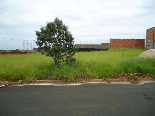 Terreno / Lote para Venda em Hortolândia/SP Parque Terras de Santa Maria
