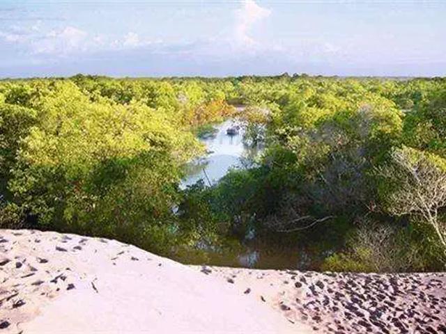 Terreno / Lote para Venda em Humberto de Campos/MA Centro