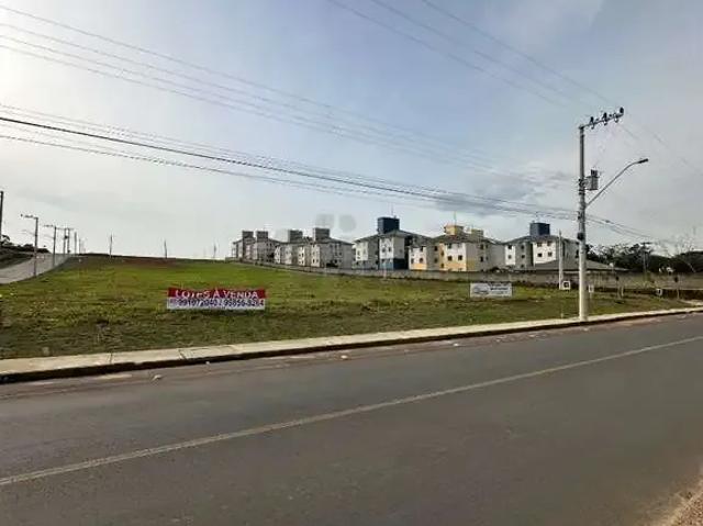 Terreno / Lote para Venda em Içara/SC Raichaski