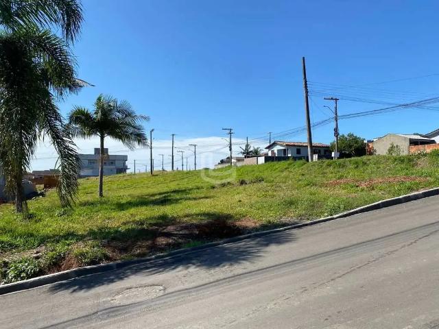 Terreno / Lote para Venda em Içara/SC Tereza Cristina