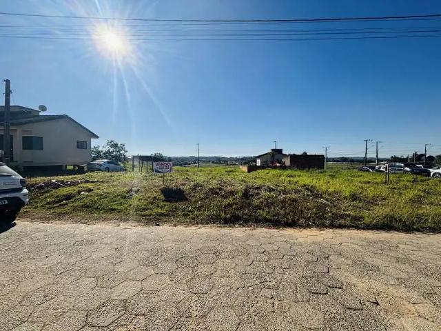 Terreno / Lote para Venda em Içara/SC Tereza Cristina