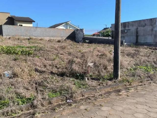 Terreno / Lote para Venda em Içara/SC Tereza Cristina