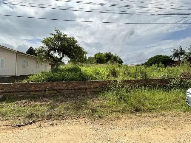Terreno / Lote para Venda em Içara/SC Vila Nova
