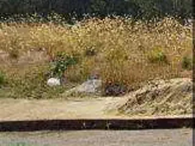 Terreno / Lote para Venda em Iacanga/SP Centro