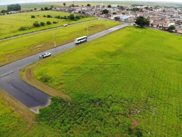 Terreno / Lote para Venda em Ibaté/SP Vila Santa Terezinha