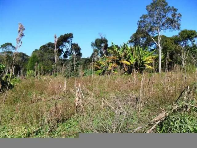 Terreno / Lote para Venda em Ibiúna/SP Campo Verde