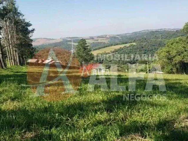 Terreno / Lote para Venda em Ibiúna/SP Centro