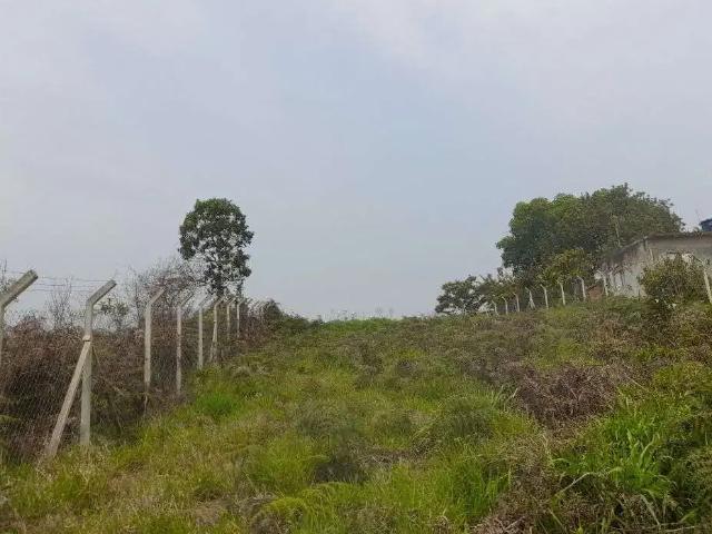 Terreno / Lote para Venda em Ibiúna/SP Centro