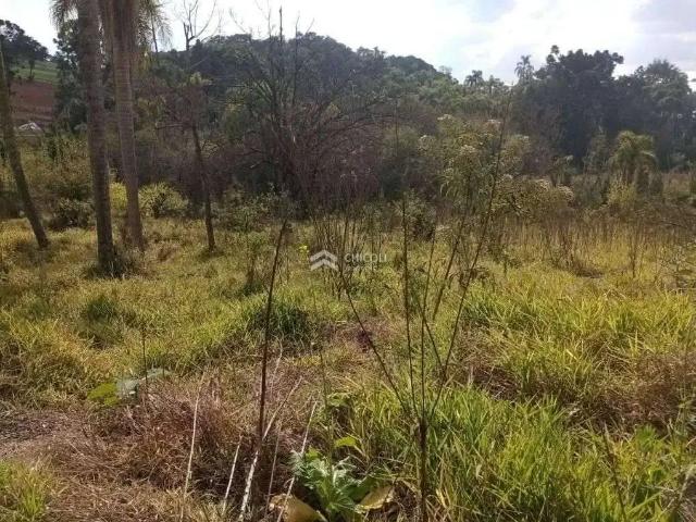 Terreno / Lote para Venda em Ibiúna/SP Centro