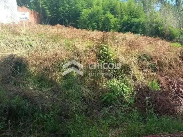 Terreno / Lote para Venda em Ibiúna/SP Centro
