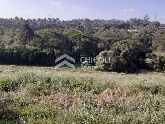 Terreno / Lote para Venda em Ibiúna/SP Centro
