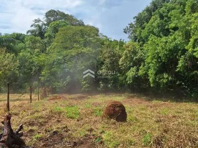 Terreno / Lote para Venda em Ibiúna/SP Centro