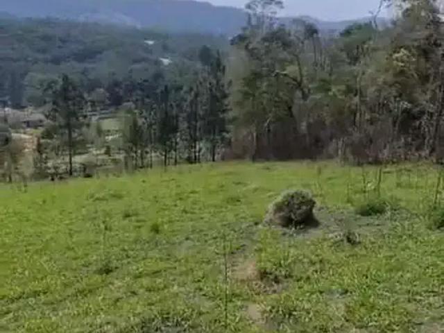 Terreno / Lote para Venda em Ibiúna/SP Centro