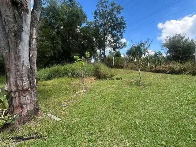 Terreno / Lote para Venda em Ibiúna/SP Centro