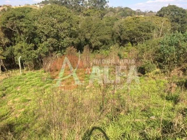 Terreno / Lote para Venda em Ibiúna/SP Centro