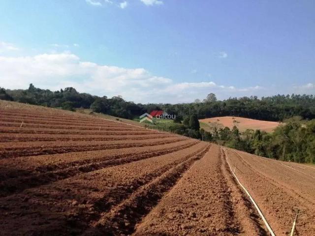Terreno / Lote para Venda em Ibiúna/SP Centro