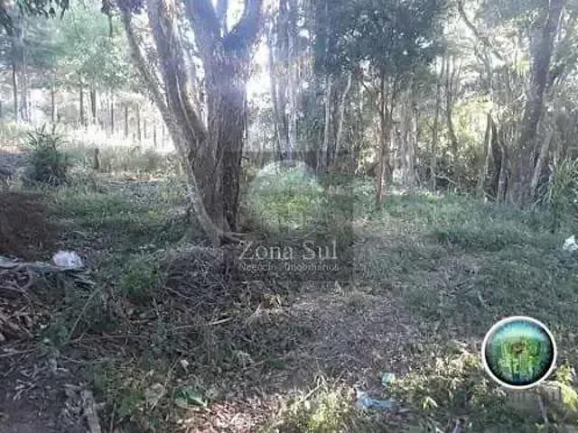 Terreno / Lote para Venda em Ibiúna/SP Recreio