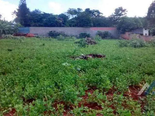 Terreno / Lote para Venda em Ibiporã/PR Condomínio Horizontal Marajoara