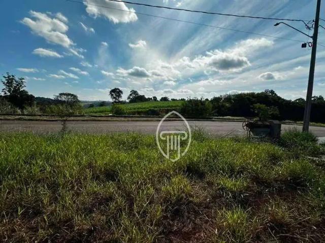 Terreno / Lote para Venda em Ibiporã/PR Conjunto Habitacional Henrique Alves Pereira