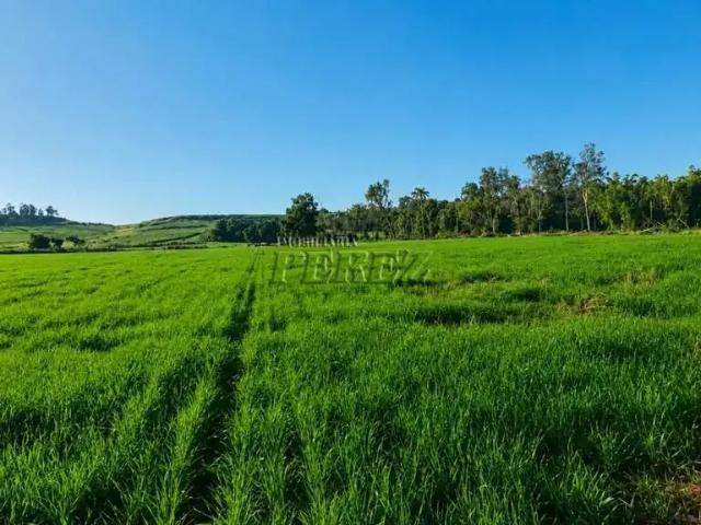 Terreno / Lote para Venda em Ibiporã/PR Esperança