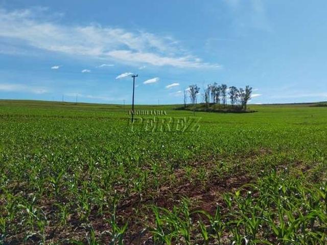 Terreno / Lote para Venda em Ibiporã/PR Jardim Malibu