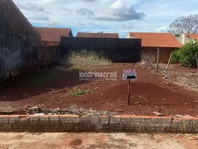 Terreno / Lote para Venda em Ibiporã/PR Jardim Brasília