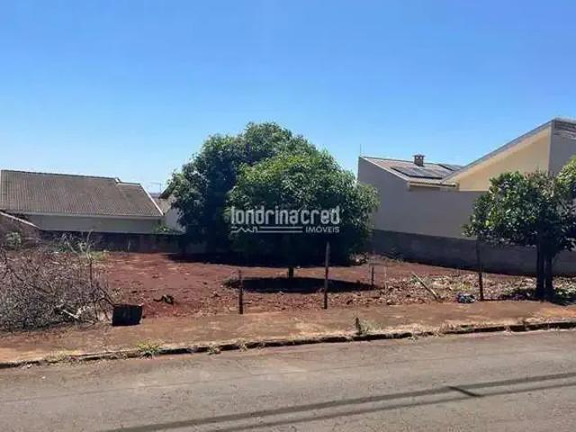 Terreno / Lote para Venda em Ibiporã/PR Jardim Las Vegas