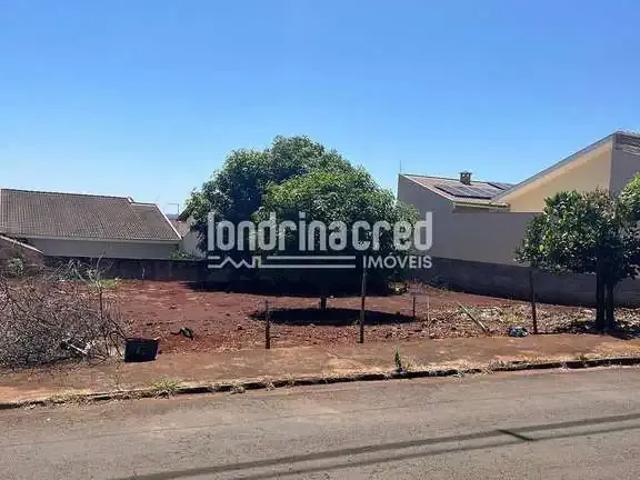 Terreno / Lote para Venda em Ibiporã/PR Jardim Las Vegas
