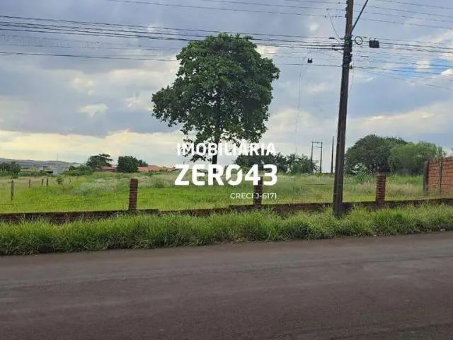 Terreno / Lote para Venda em Ibiporã/PR Setor 3
