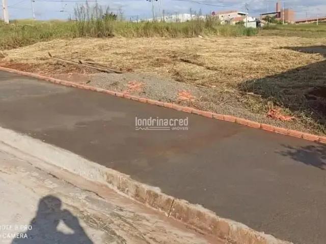 Terreno / Lote para Venda em Ibiporã/PR Parque Guará